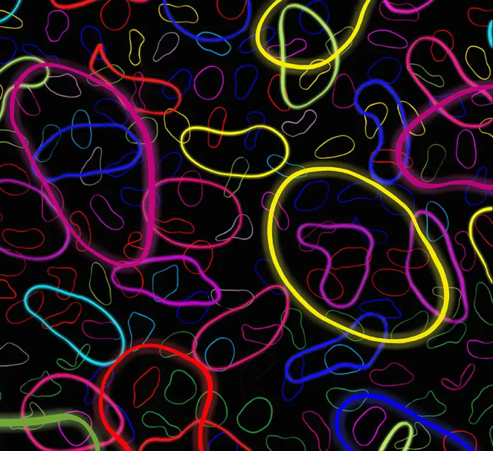 La teoria delle stringhe | Radio Scienza